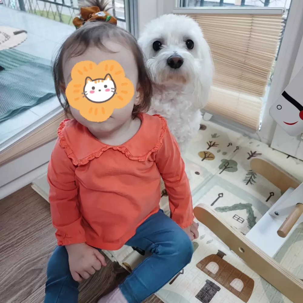 Szukam: Poszukujemy niani na stałe, dziecko 16 ms | Niania.pl